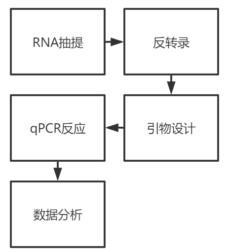 超强干货丨一文看懂WB、qPCR生物测试，内含常见问题（附答案）-测试狗·科研服务