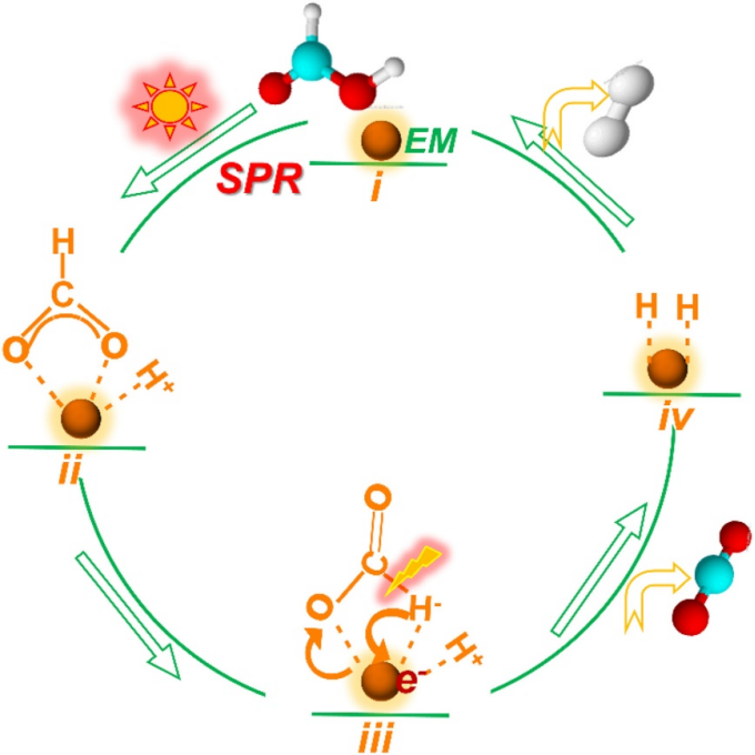 精选干货丨光学表面等离子共振仪SPR技术应用合集来了-测试狗·科研服务