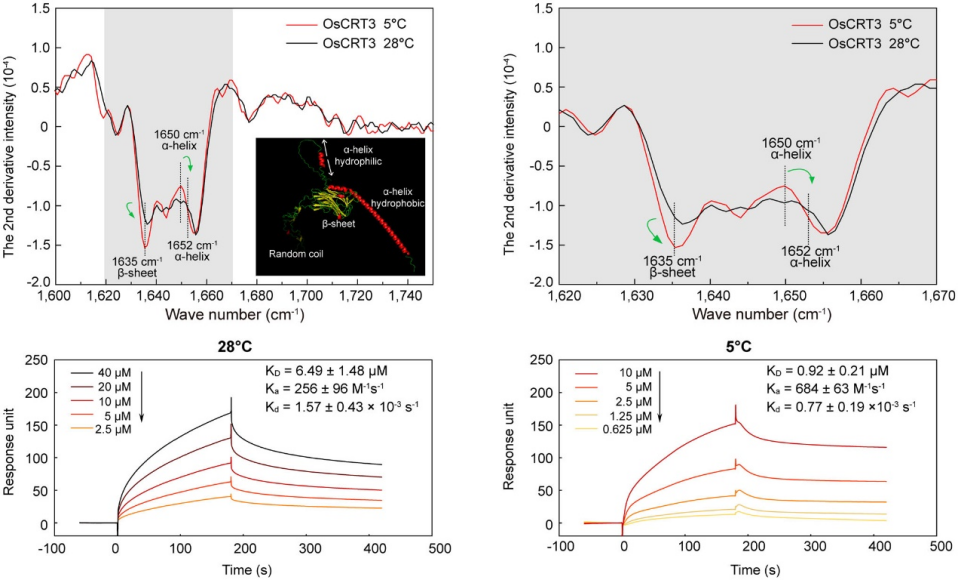 精选干货丨光学表面等离子共振仪SPR技术应用合集来了-测试狗·科研服务