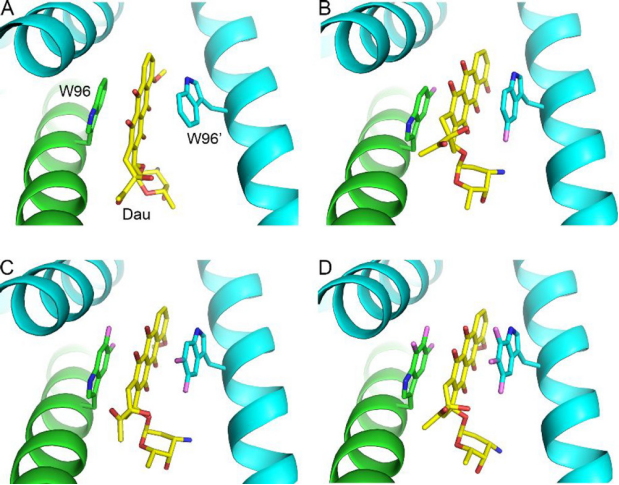 精选干货丨光学表面等离子共振仪SPR技术应用合集来了-测试狗·科研服务